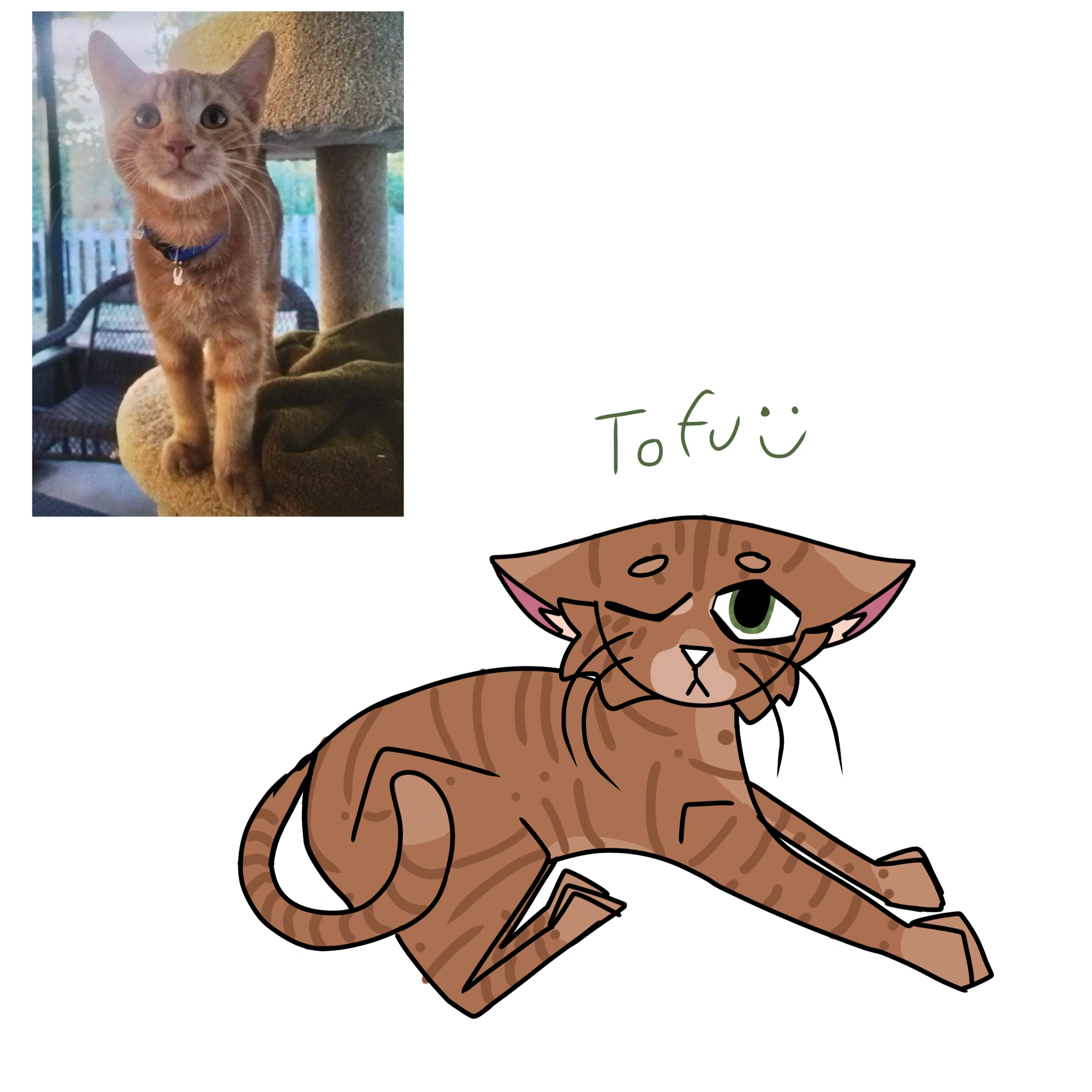 I drew my cat!! | Fandom