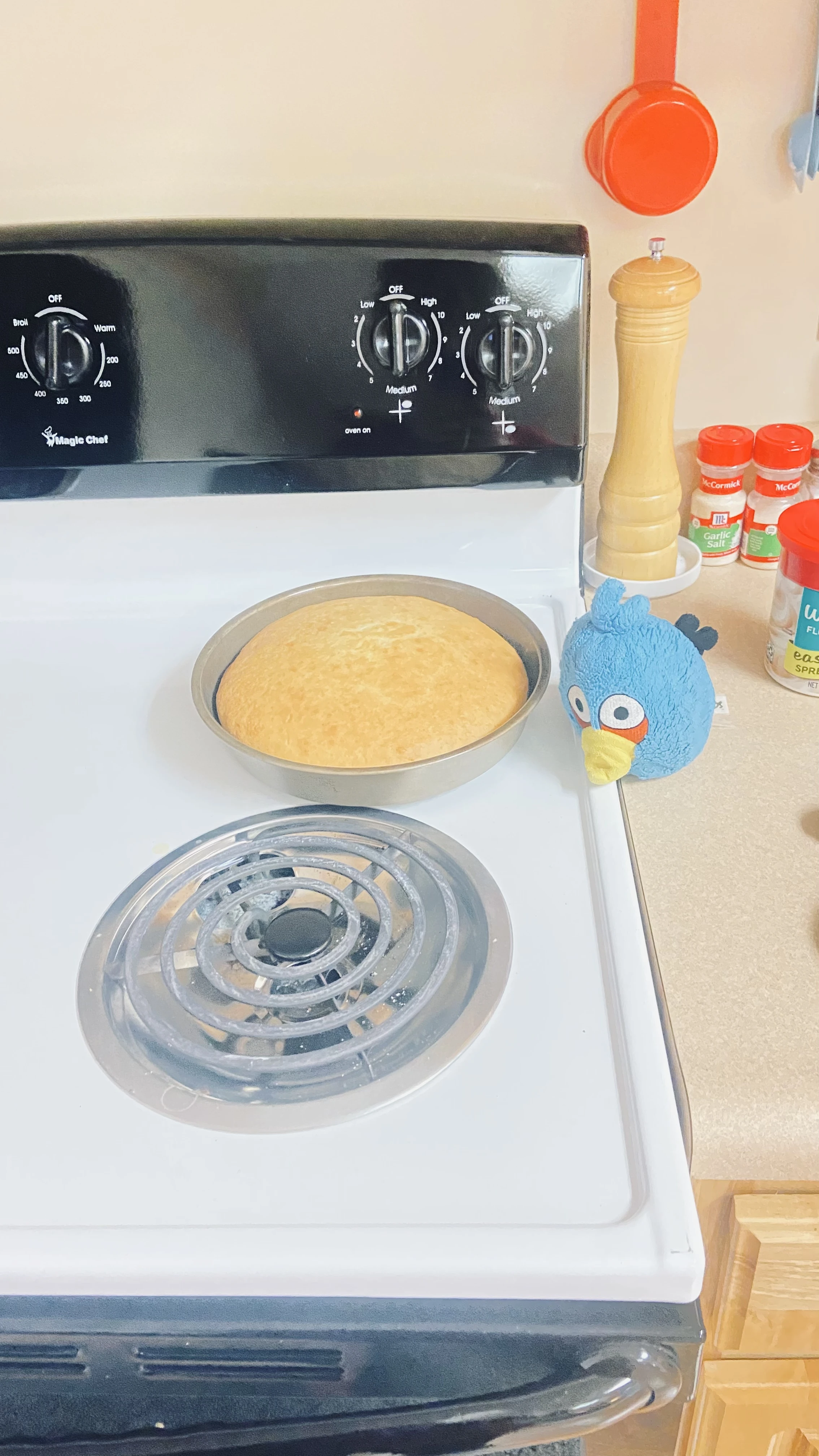 Jay and the cake | Fandom