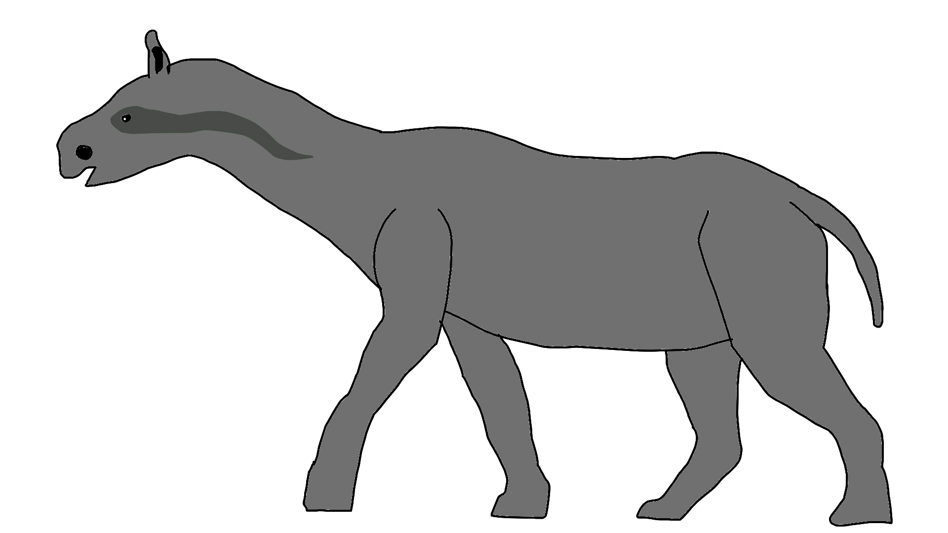 Paraceratherium | Fandom