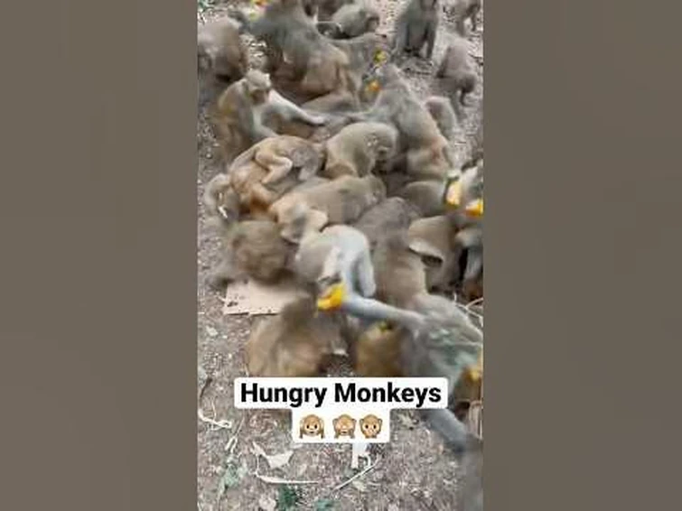 My brothers when there’s snacks | Fandom