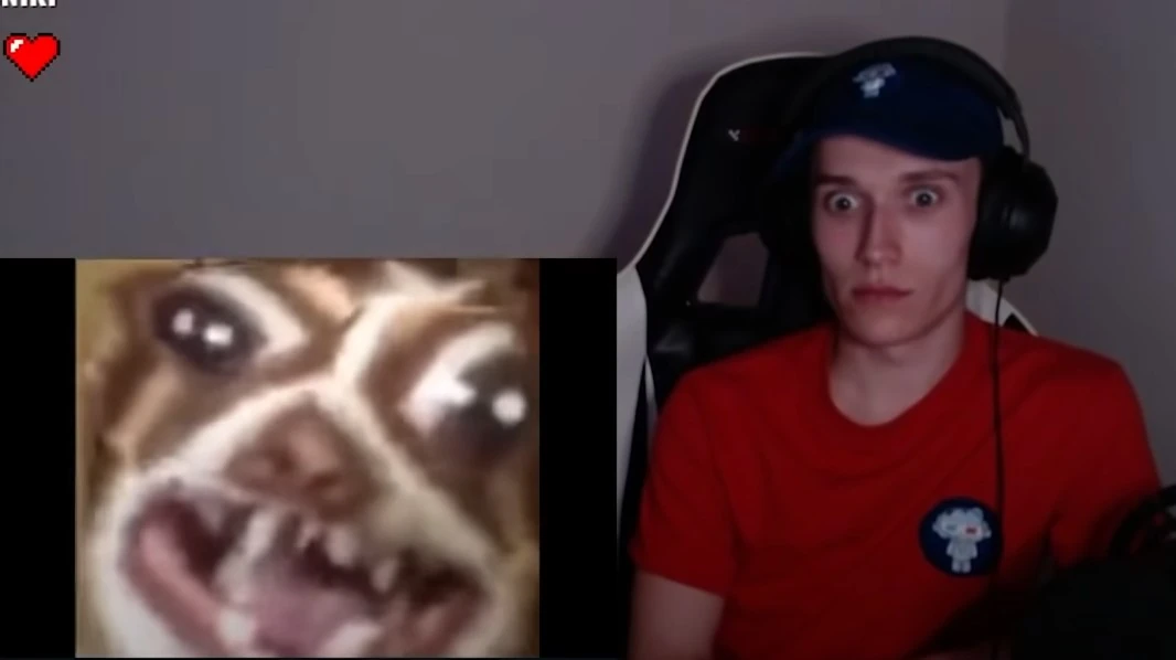 his goals are beyond understanding [dsmp?] | Fandom