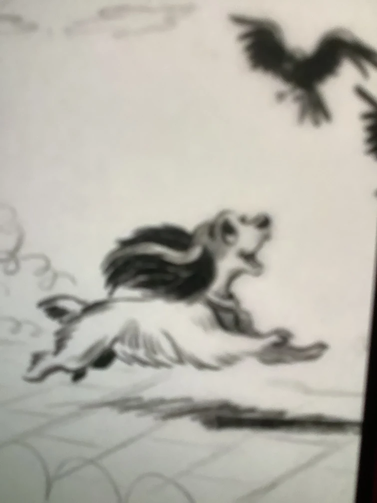 Lady in Walt Disney animation research library | Fandom