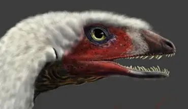 Discuss Everything About Dinopedia | Fandom