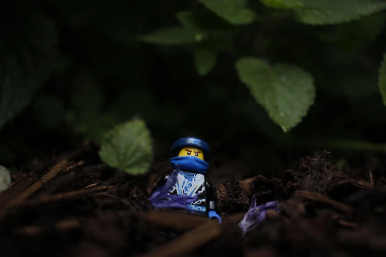 Discuss Everything About Ninjago Wiki | Fandom