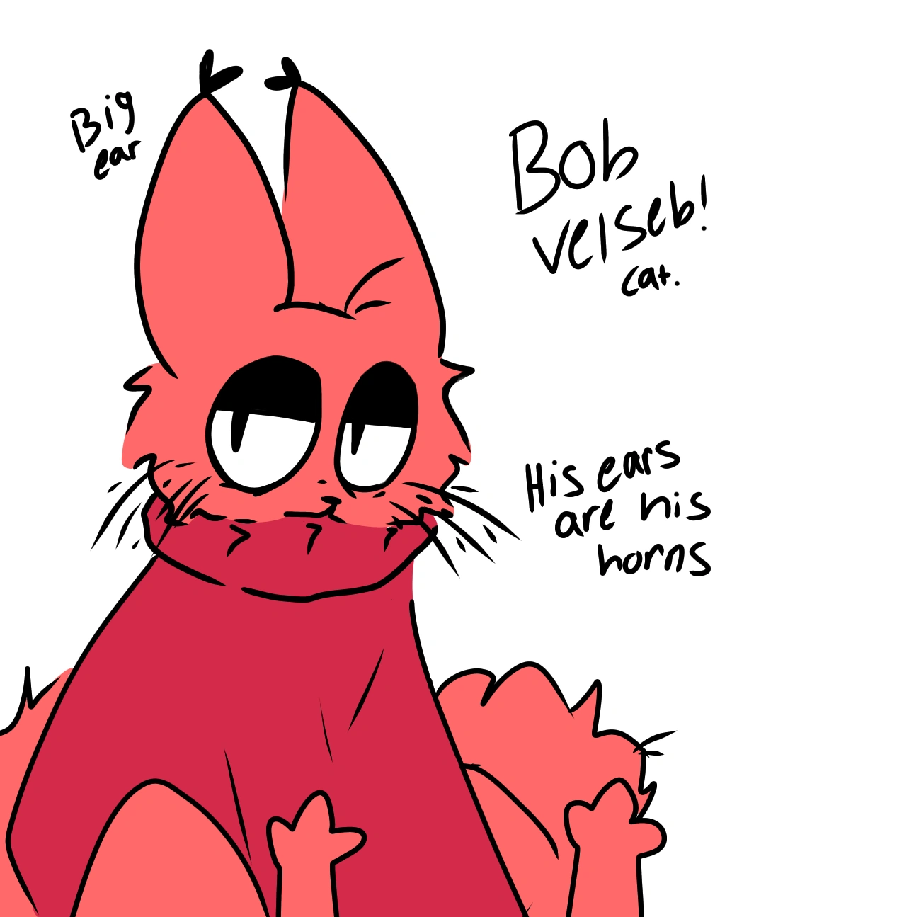 More Bob velseb cat!! Big ear | Fandom