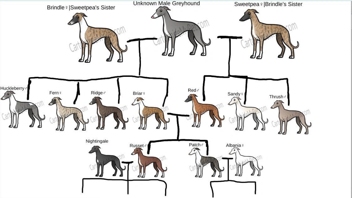 My Greyhound Pack family tree line | Fandom