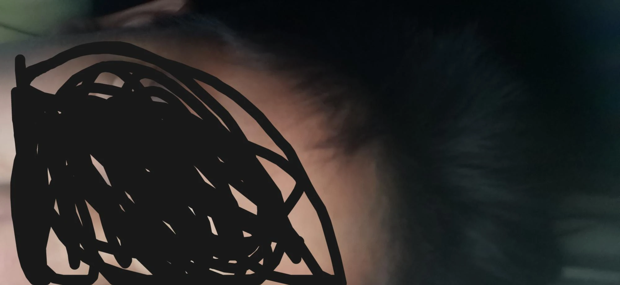 Hair reveal uhhhhhhh | Fandom