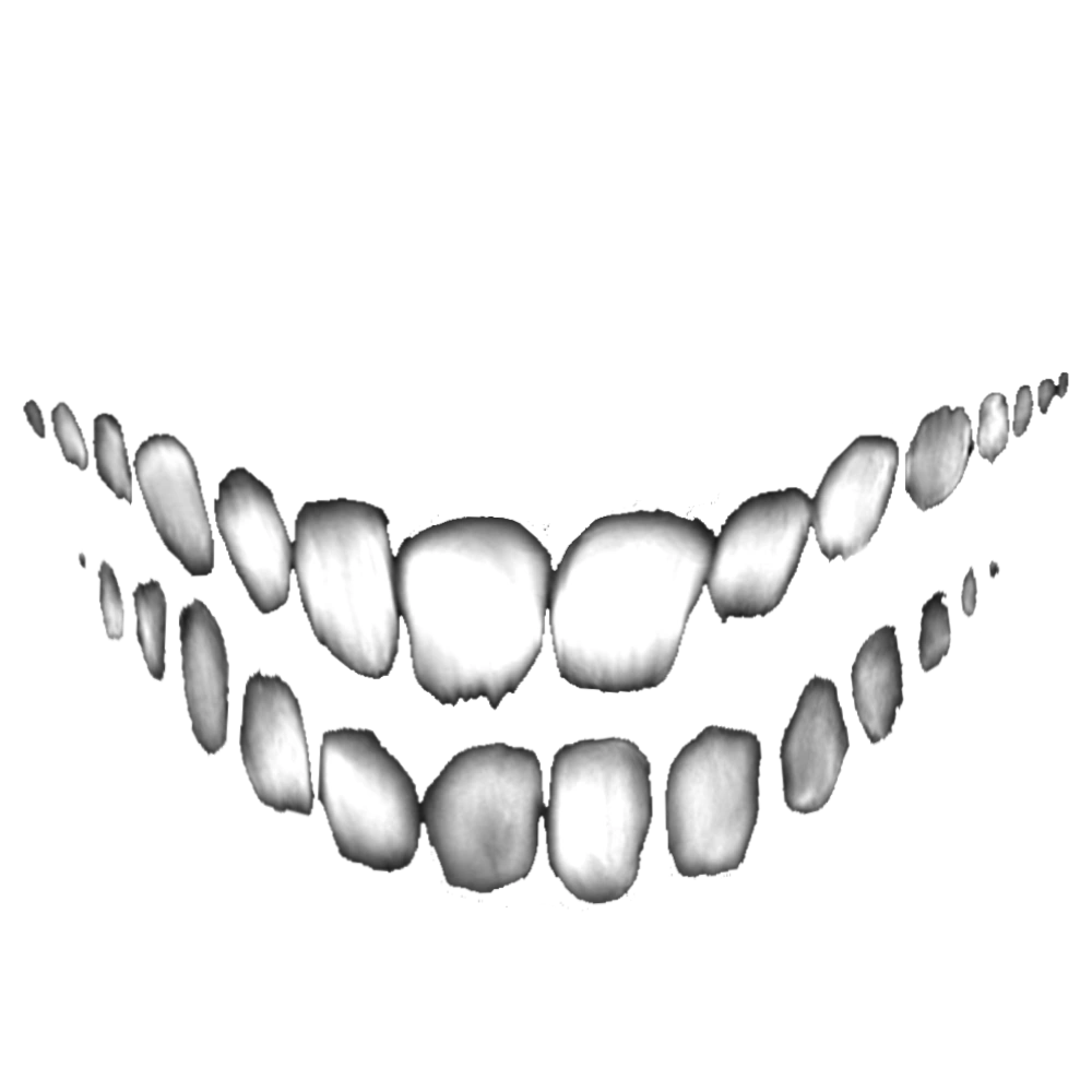 teeth template I made | Fandom