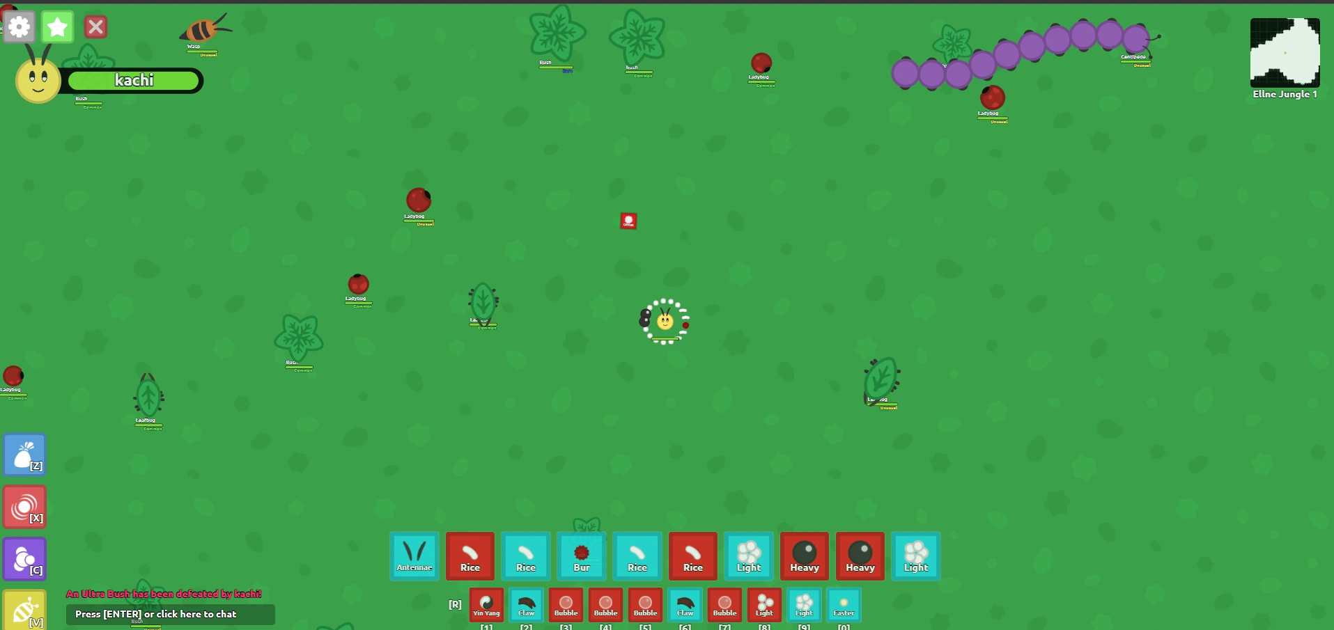 rate my slightly bad rice build | Fandom