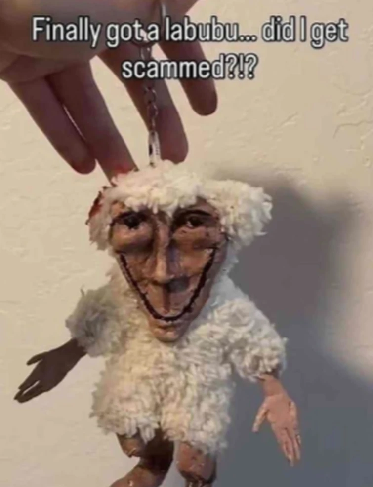 finally got a labubu, did i get scammed? | Fandom