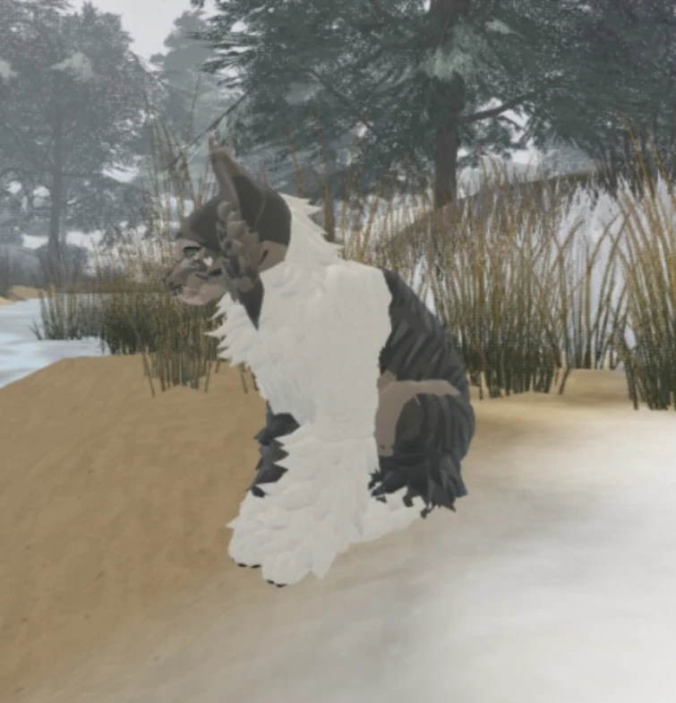 Trading morph! | Fandom