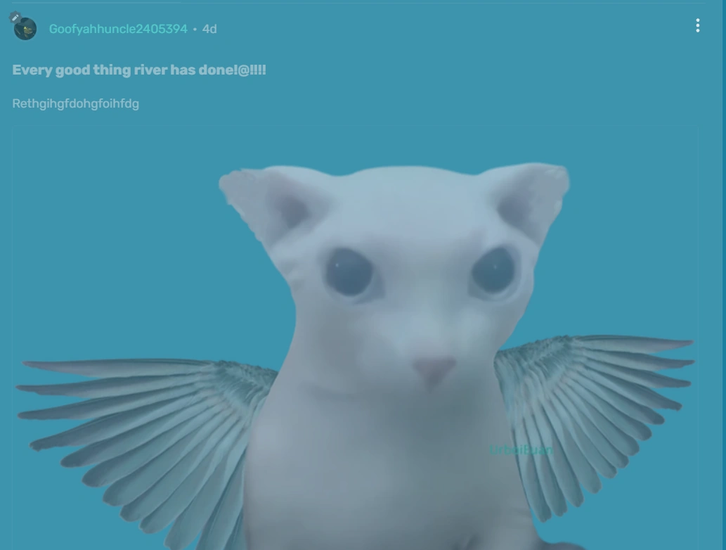 River griefed my message | Fandom