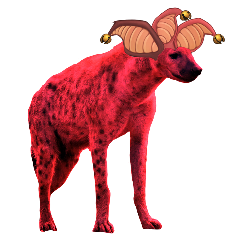 Low budget Hyehehe | Fandom