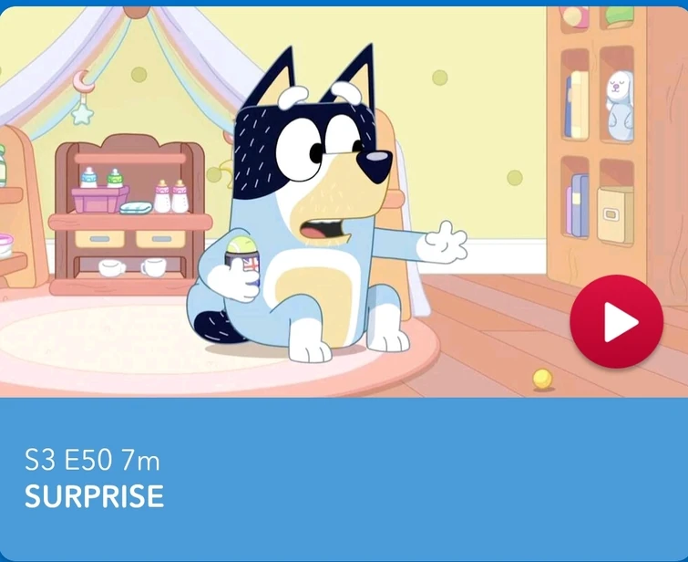 Discuss Everything About Bluey Wiki | Fandom