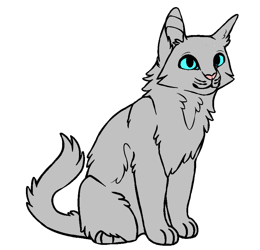 Рассвет | коты-воители нового леса Вики | Fandom
