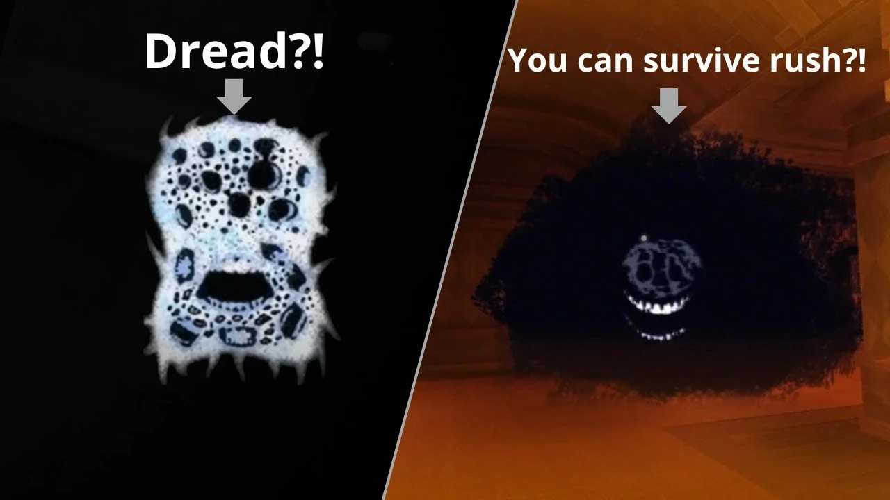 Rush’s damage | Fandom