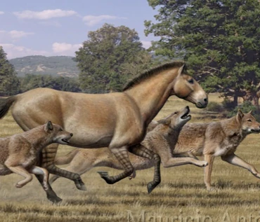 Discuss Everything About Dinopedia | Fandom