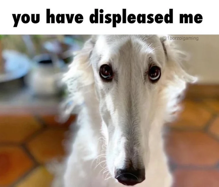 The Official Off Topic Thread (Augusto 2025) | Fandom