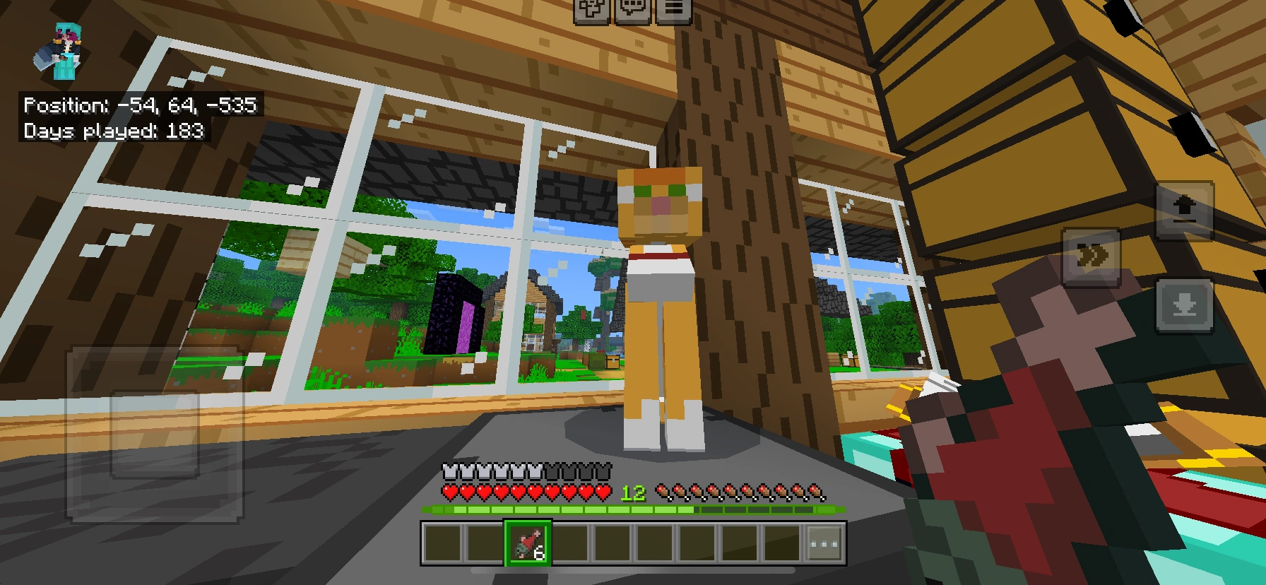 Here’s my Minecraft cat, Garfield :3 (this is on me and my siblings mc ...