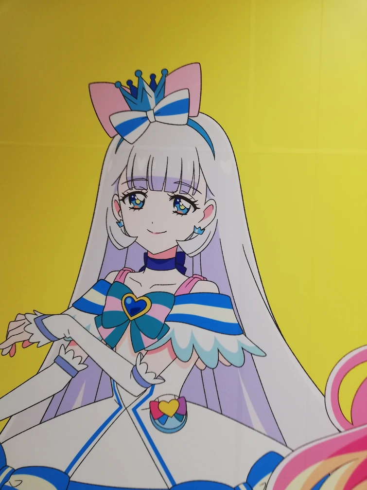 PreCure Pretty Store Tokyo Report (Wonderful Characters on the wall in ...