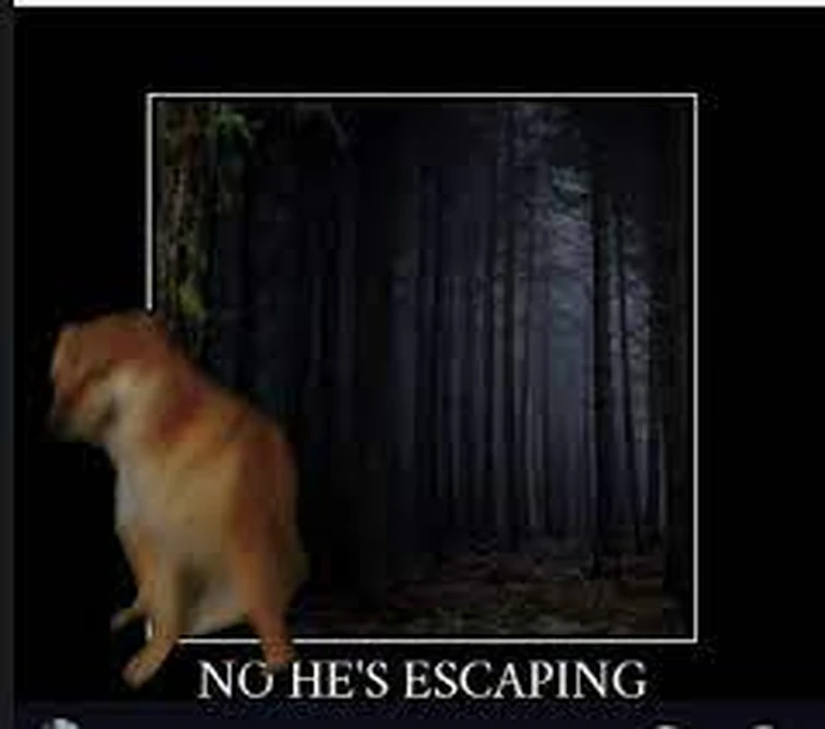 RUN CHEEMS RUN | Fandom