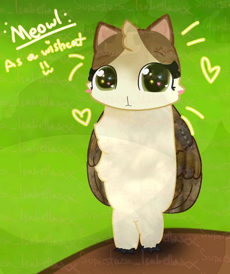 Meowl as a Wishcat! | Fandom