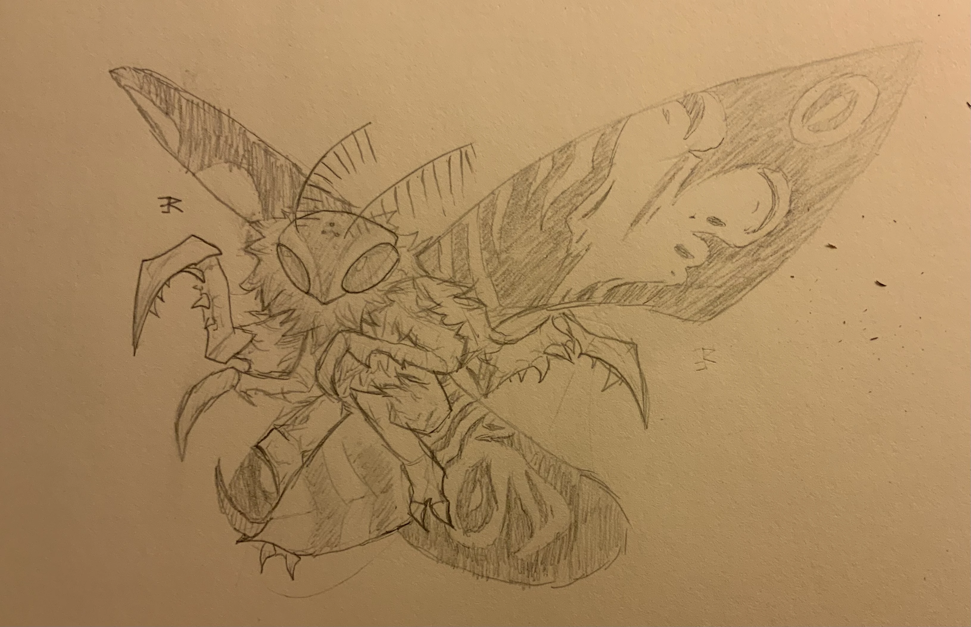Drew my own version of Mothra! | Fandom