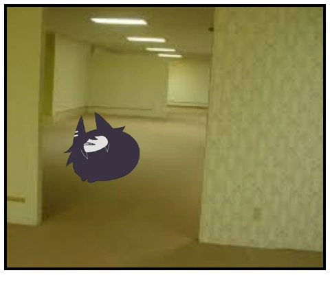 bro what the | Fandom