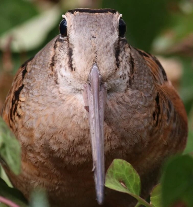 Inflation under! | Fandom