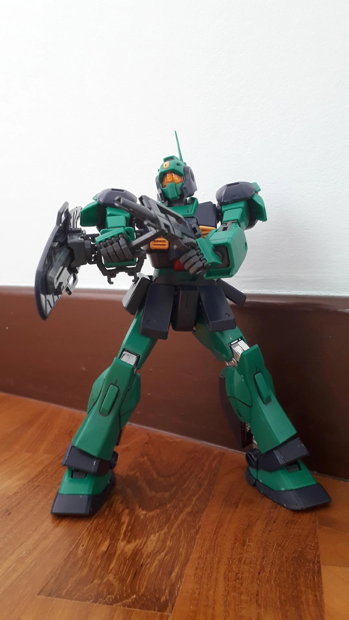 The MG nemo is completed | Fandom