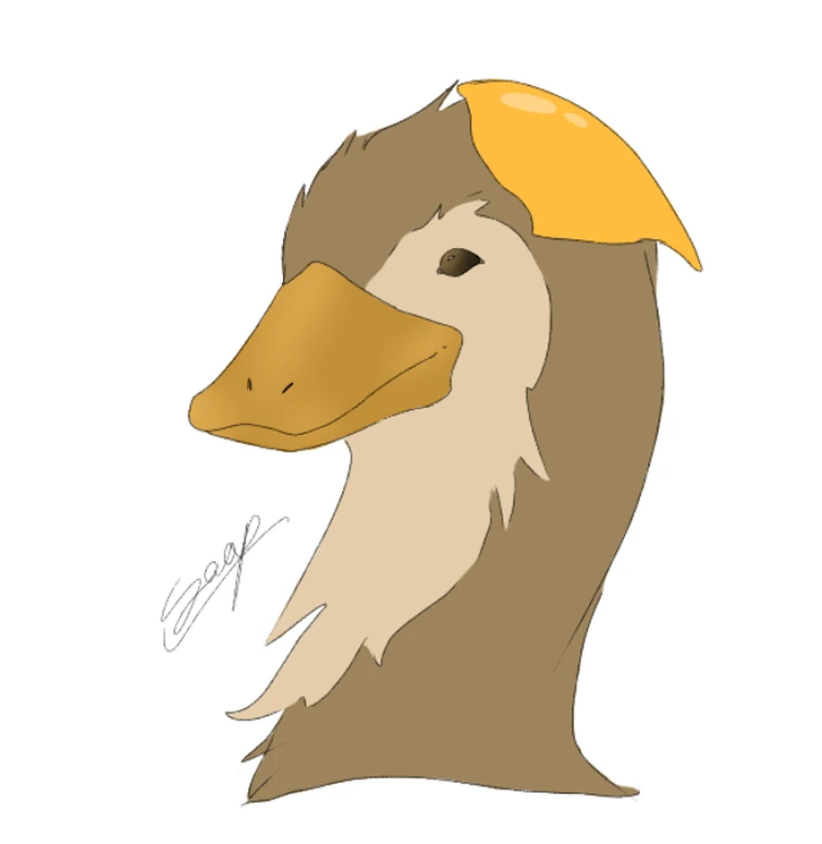 The three headed duck of wisdom | Fandom