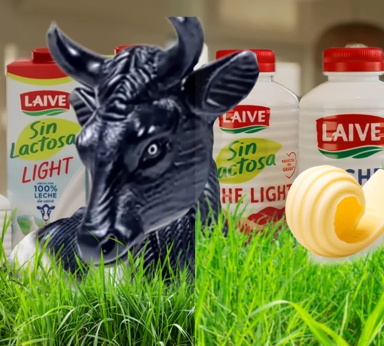 Laive Sin Lactosa Grass Butter | Fandom