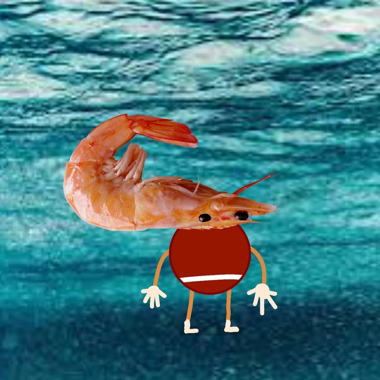 Shrimp man | Fandom