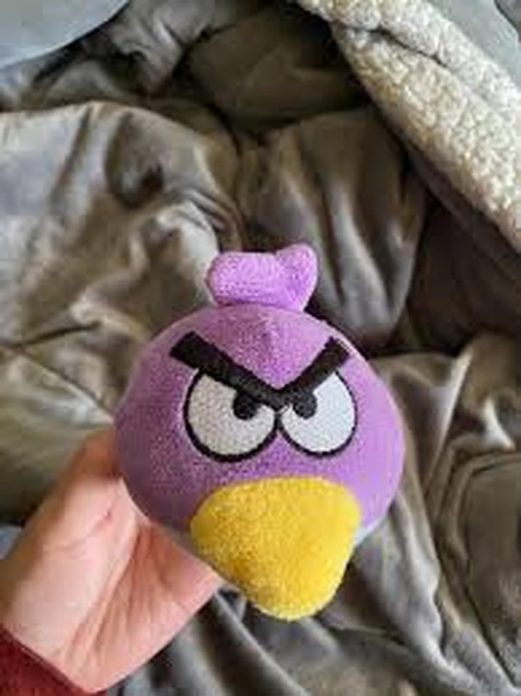 Send images of bootleg Angry Bird toys | Fandom