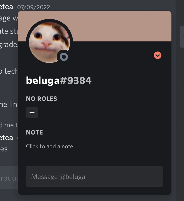 Wait! We have Beluga in our server! | Fandom