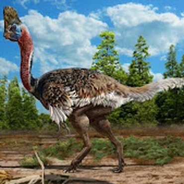 Discuss Everything About Dinopedia | Fandom