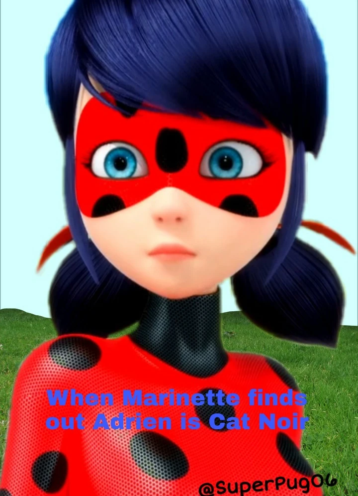 More From Scratch Edits | Fandom