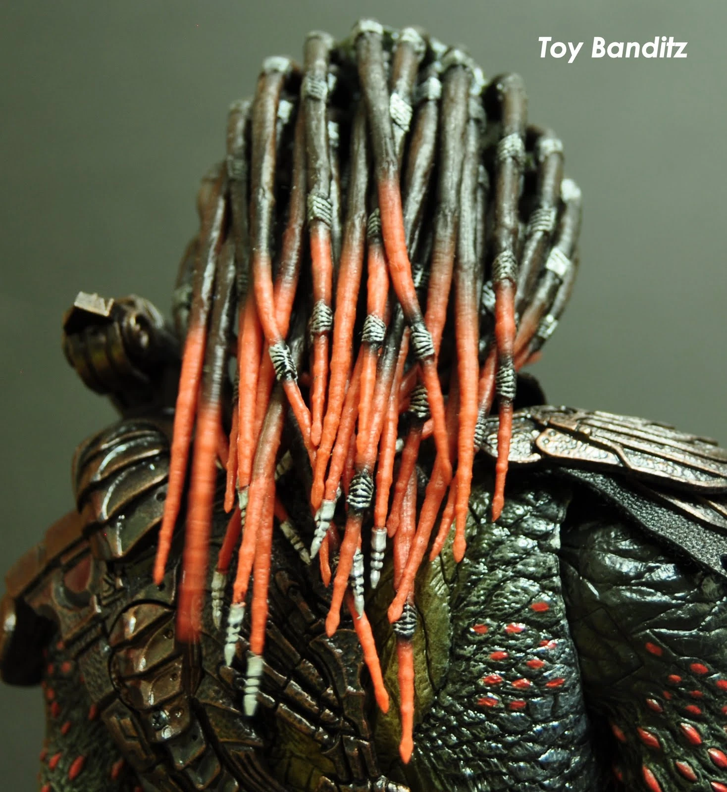 So about Yautja's dreadlocks... | Fandom