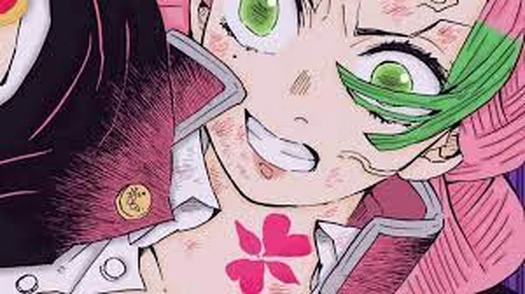 Hashira vs Hashira | Fandom