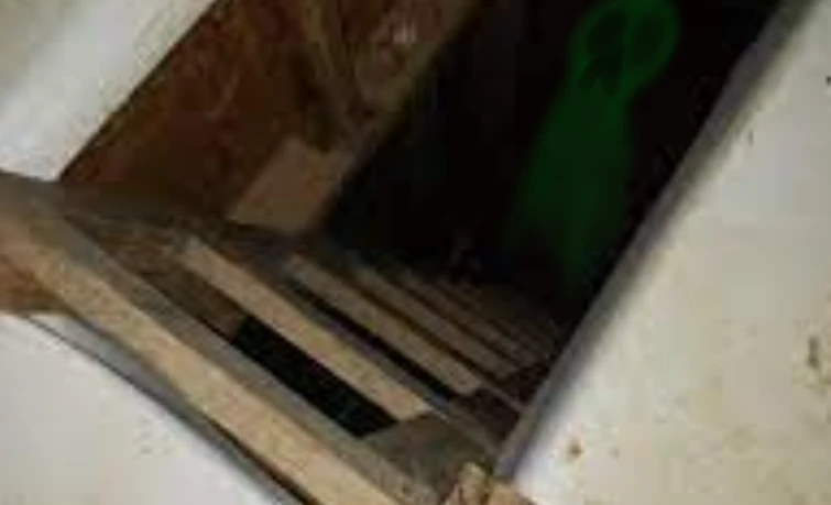 'Creeper in my Basement' | Fandom