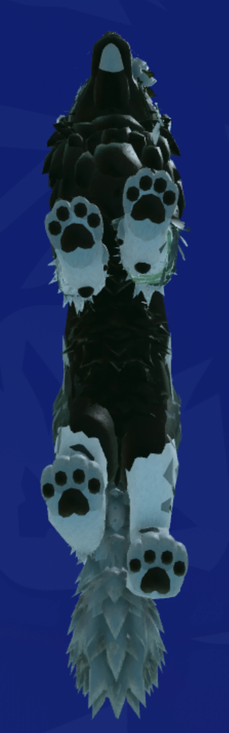 some random morph showcase | Fandom