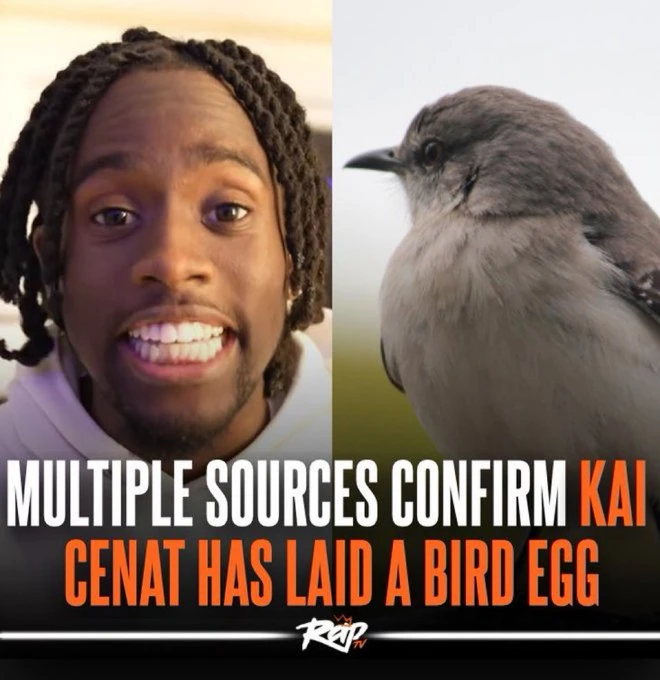 huh???💯💯💯 | Fandom