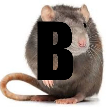 brat | Fandom