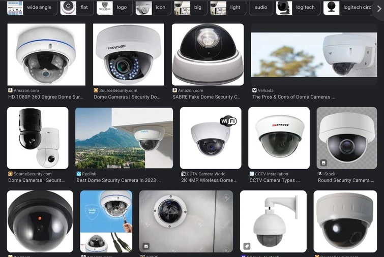 Idea: Parasite Camera | Fandom