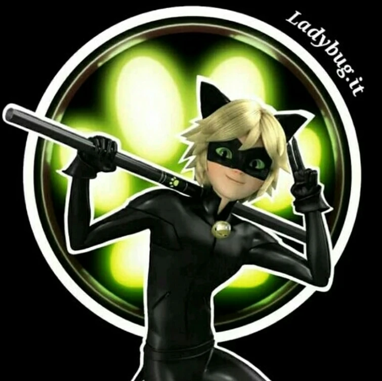 cat noir? | Fandom