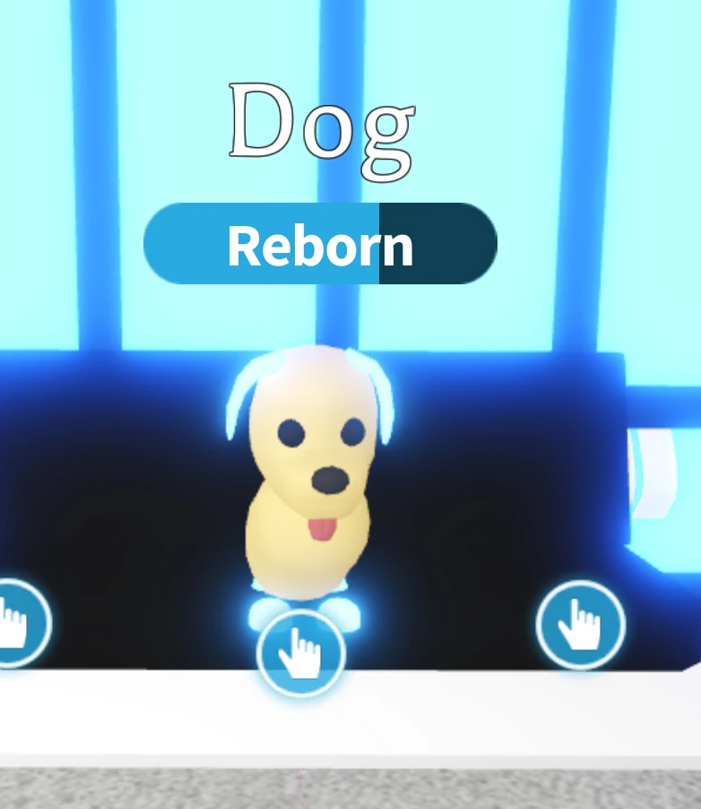 Discuss Everything About Adopt Me! Wiki | Fandom