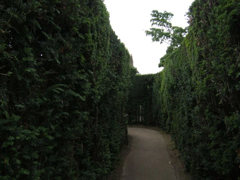 Level 107: "Grass Labyrinth" | Fandom