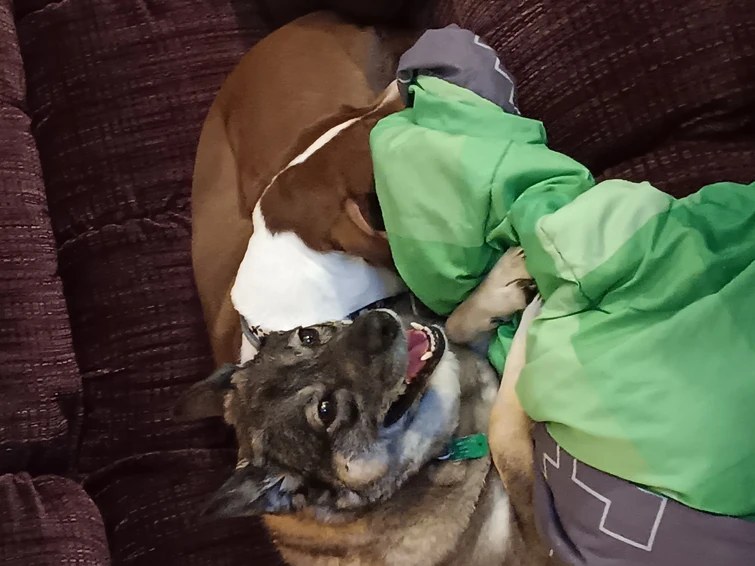 Who has the cutest pet? | Fandom