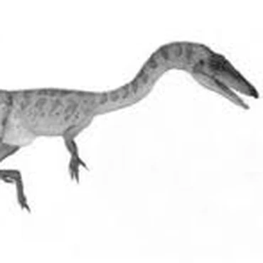 The Most Powerful Theropod - 1:43 | Fandom