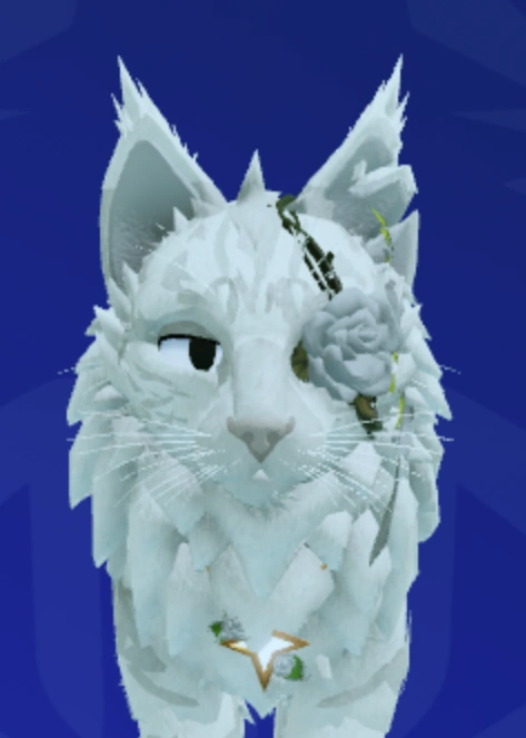 some random morph showcase | Fandom